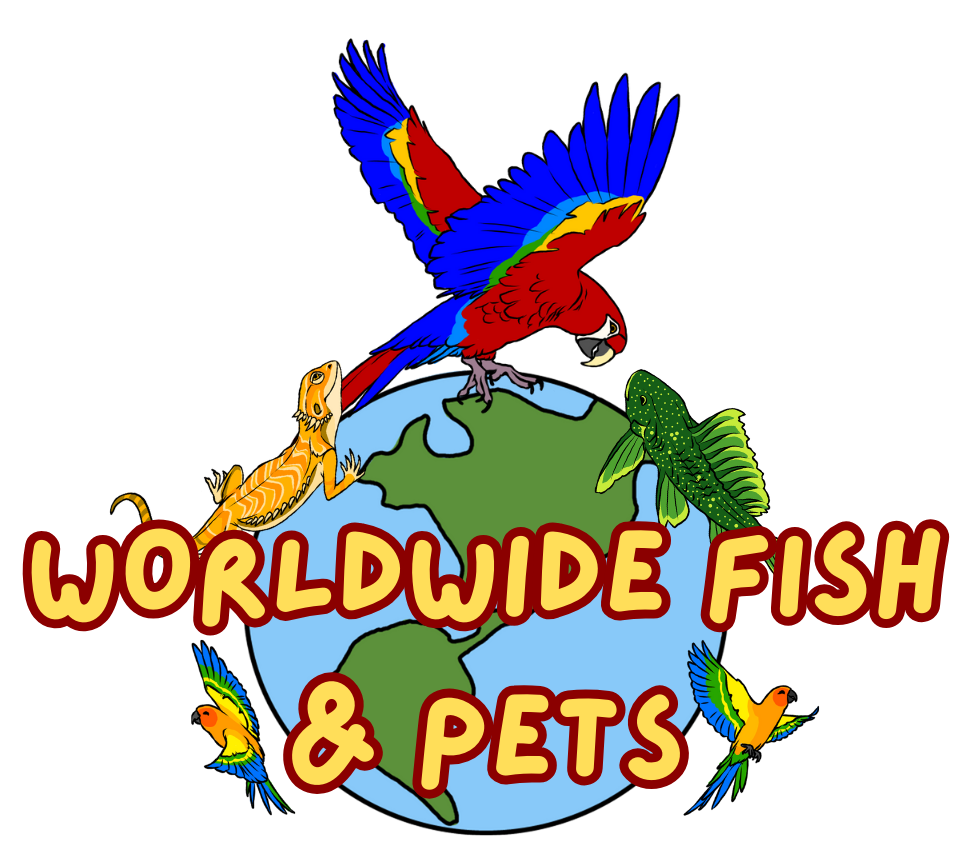 World Wide Fish and Pets